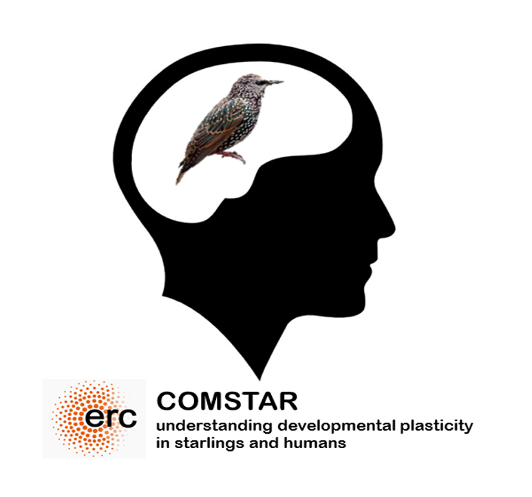 COMSTAR – Daniel Nettle