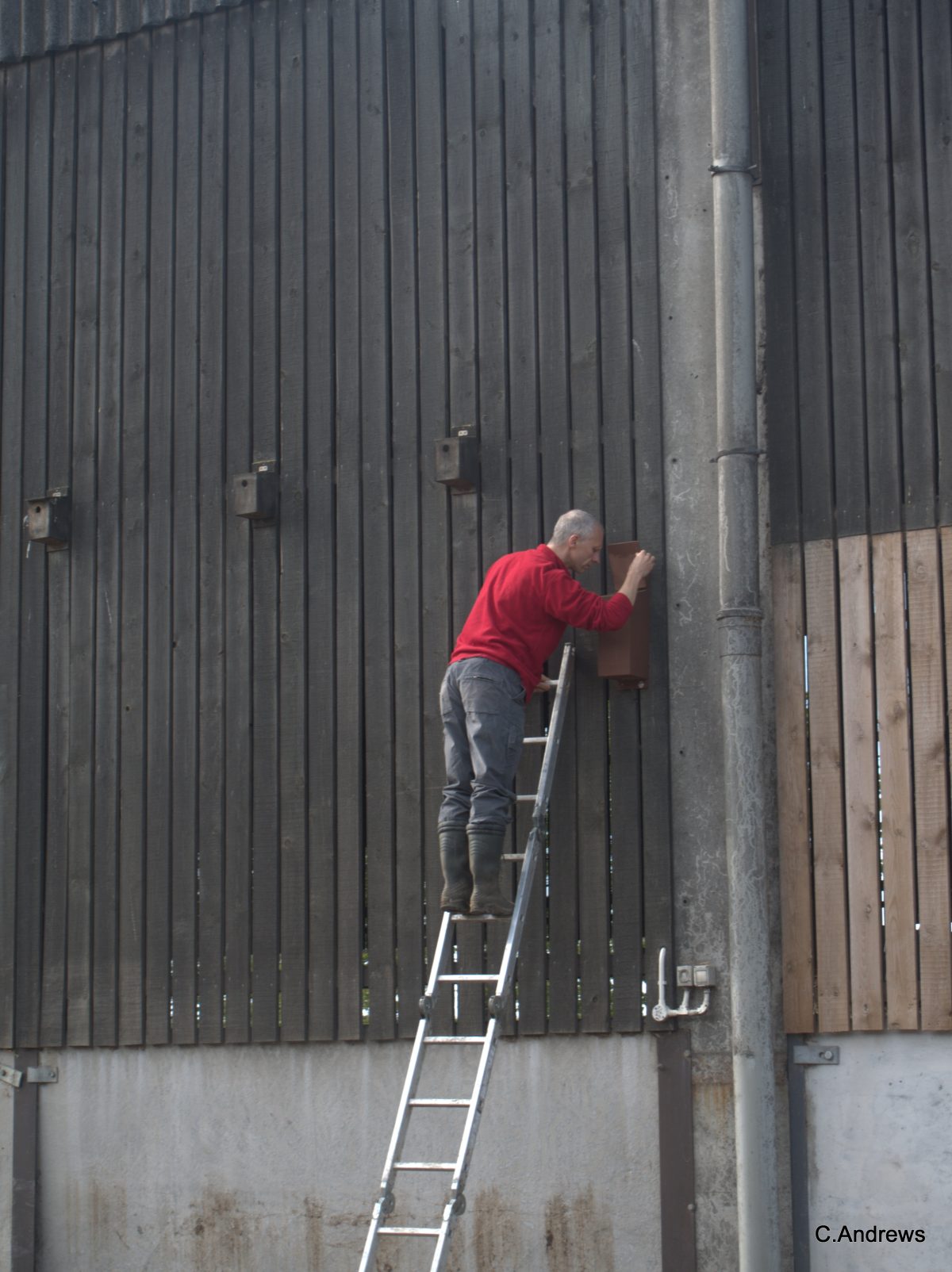 p5110061 – Daniel Nettle